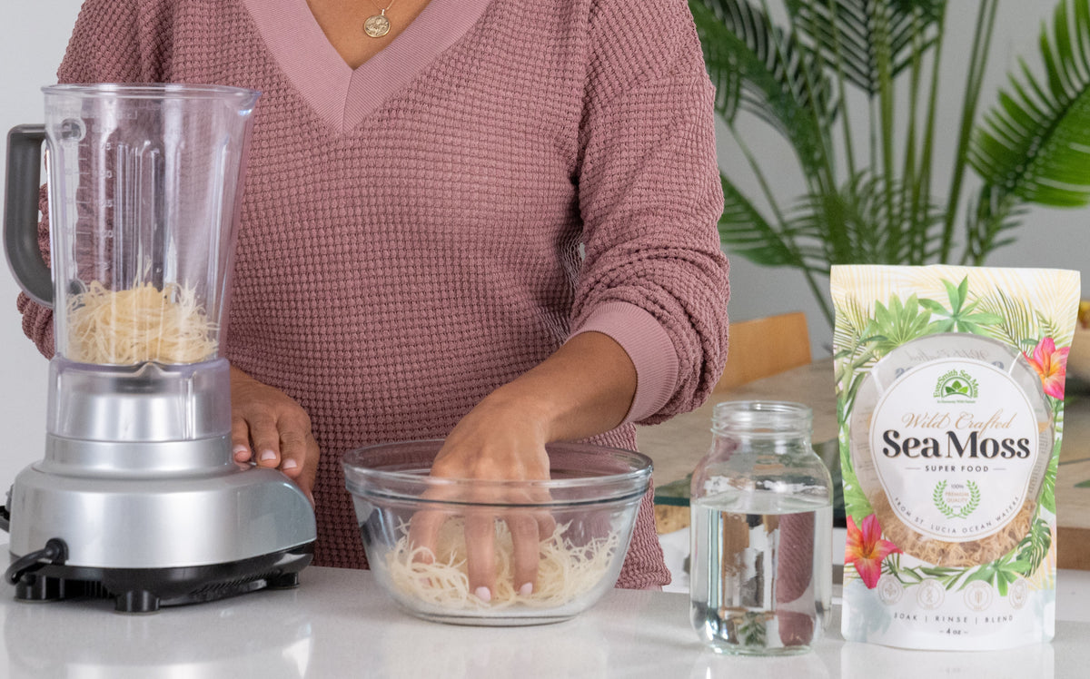 How to Make Sea Moss Gel – EverSmith Organics
